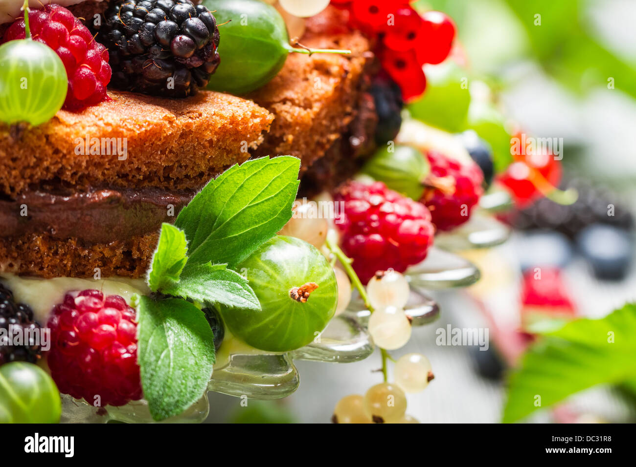 Closeup of fresh wild berry fruits in a cake Stock Photo - Alamy
