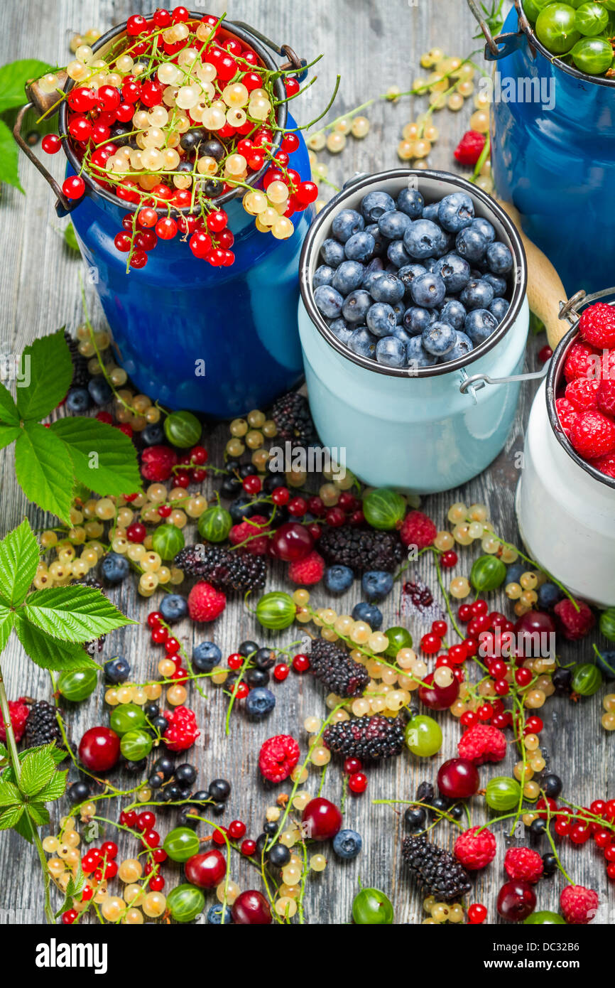 Collecting fresh wild berries Stock Photo - Alamy