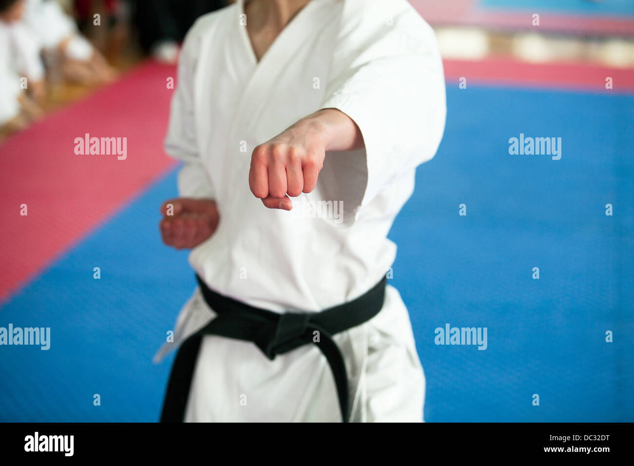 Karate fist hi-res stock photography and images - Alamy