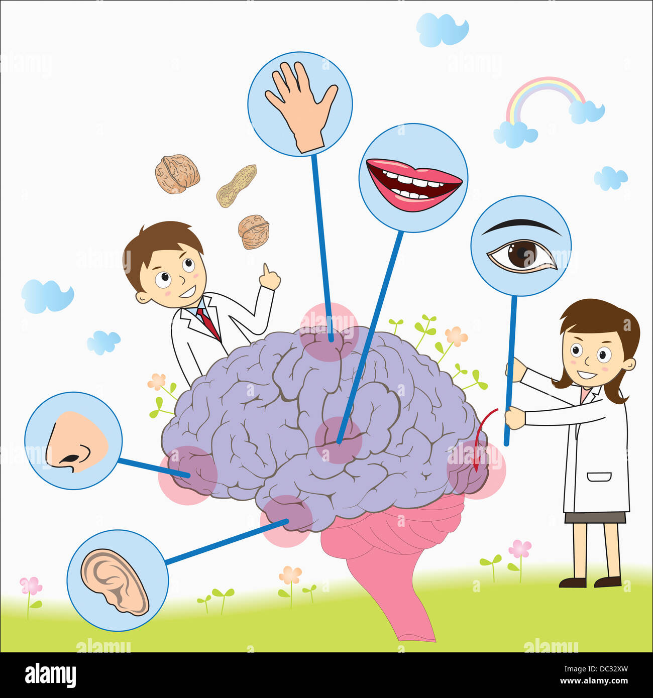 illustration of doctors and brain Stock Photo - Alamy
