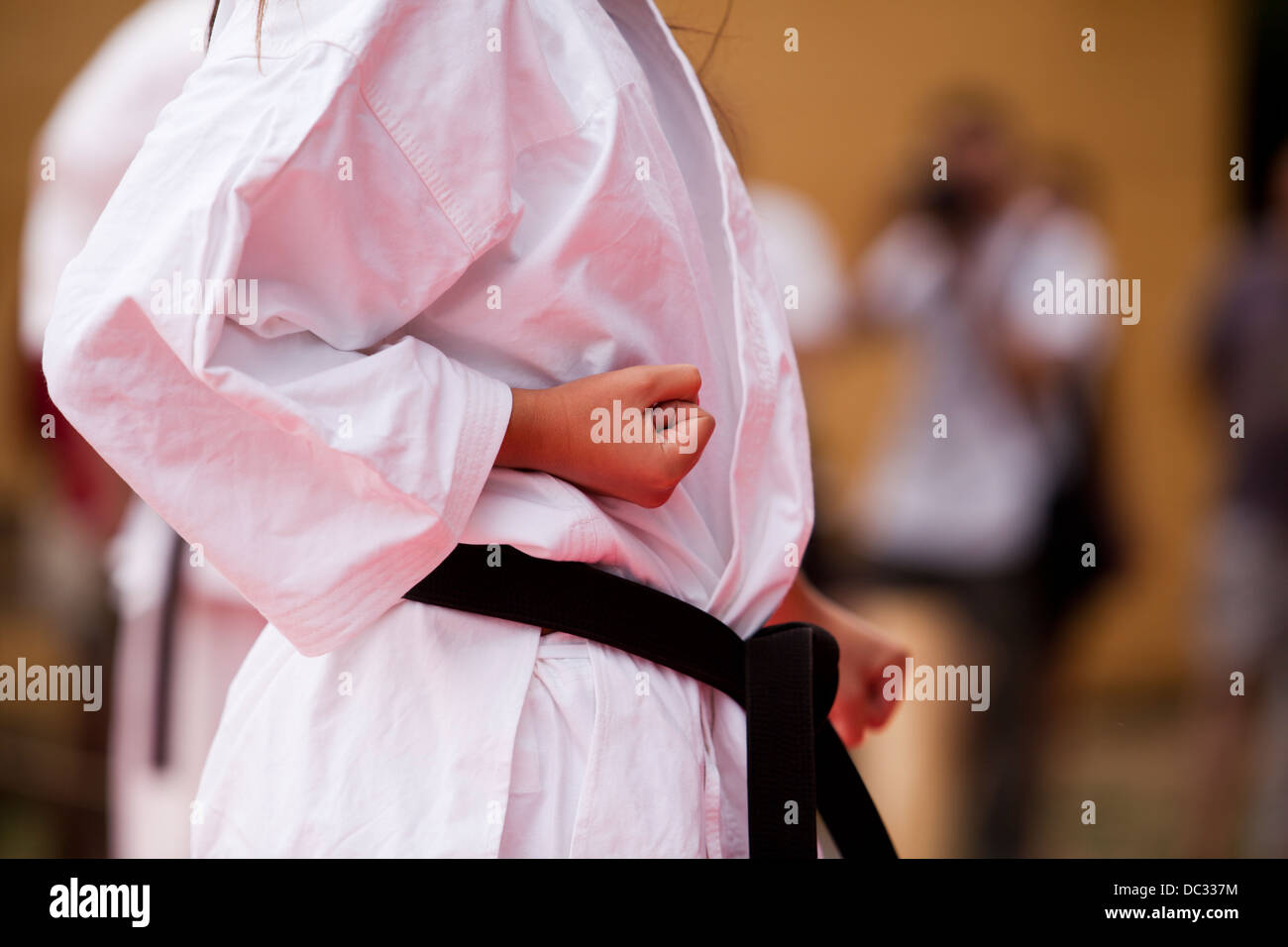 Karate Fist High Resolution Stock Photography and Images - Alamy