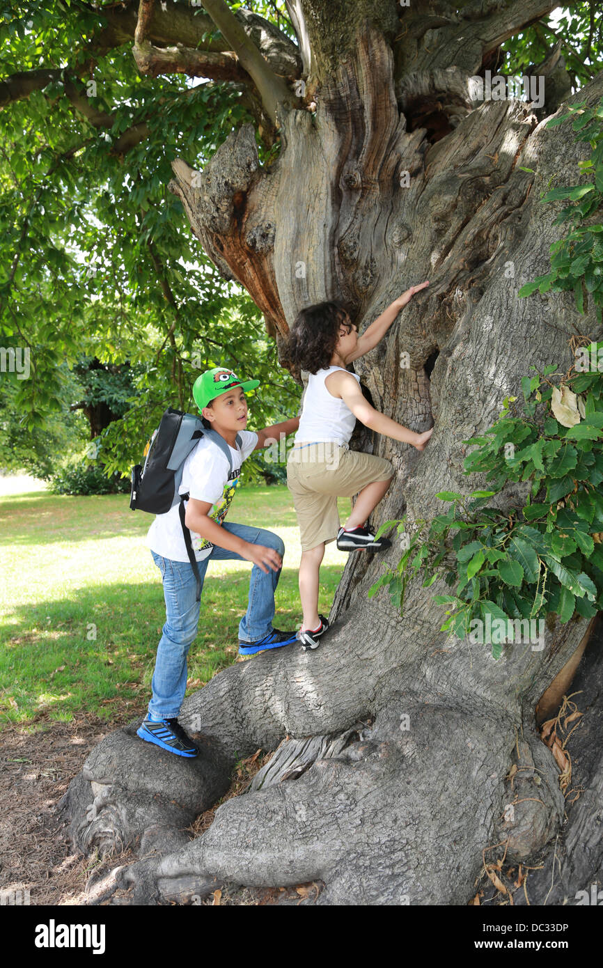 Children climbing a tree Stock Photo - Alamy