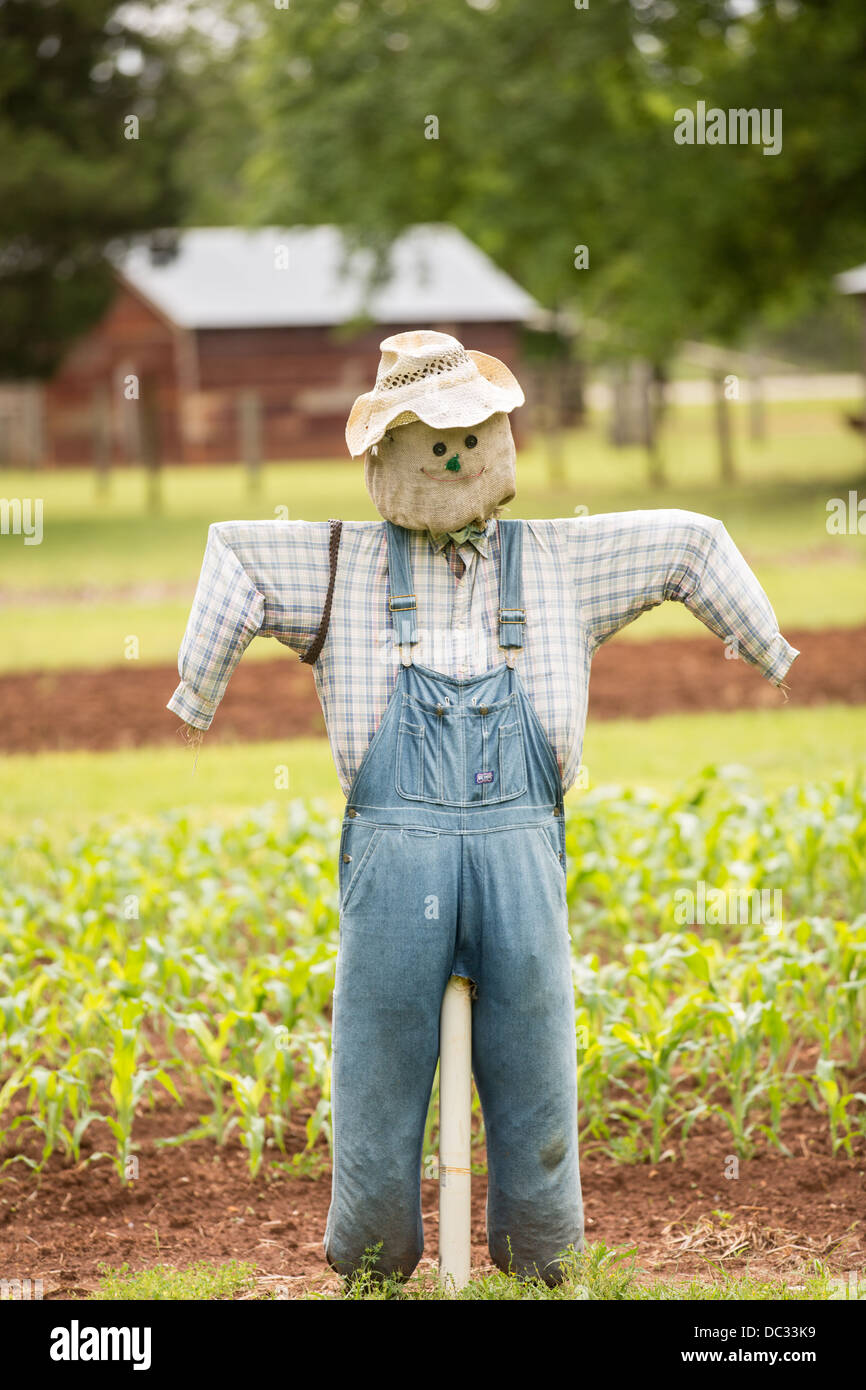 Jimmy Carter Family High Resolution Stock Photography and Images - Alamy