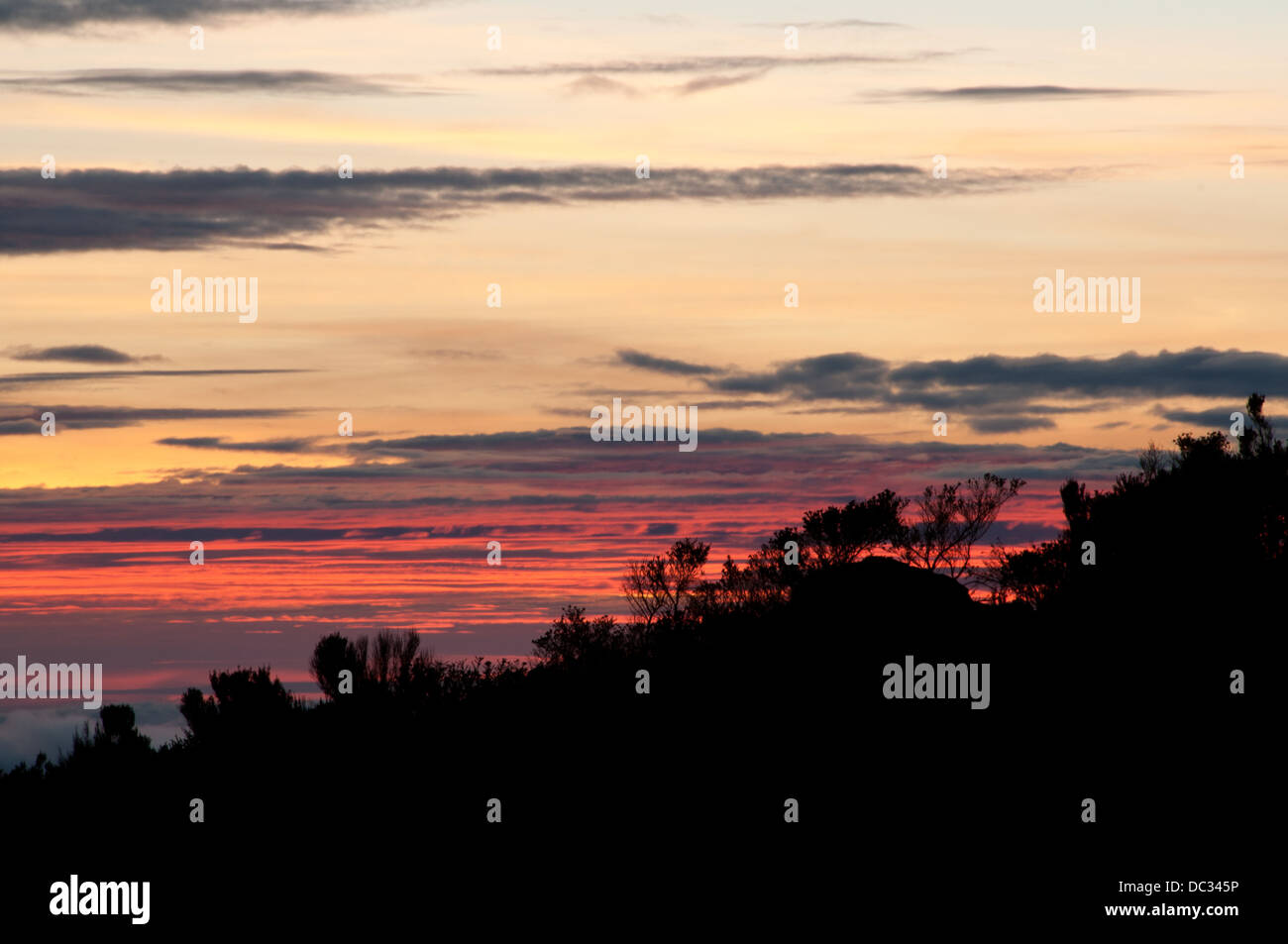 Sun rising above the african savannah taken on the slopes of ...