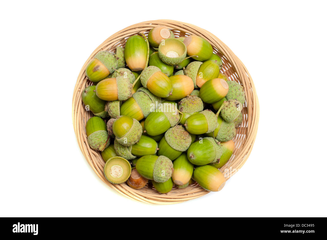 An image of haycorns Stock Photo - Alamy
