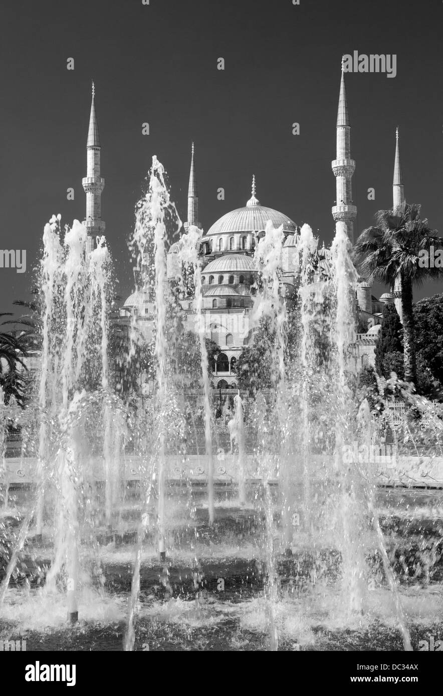 Blue mosque fountain in hi-res stock photography and images - Alamy