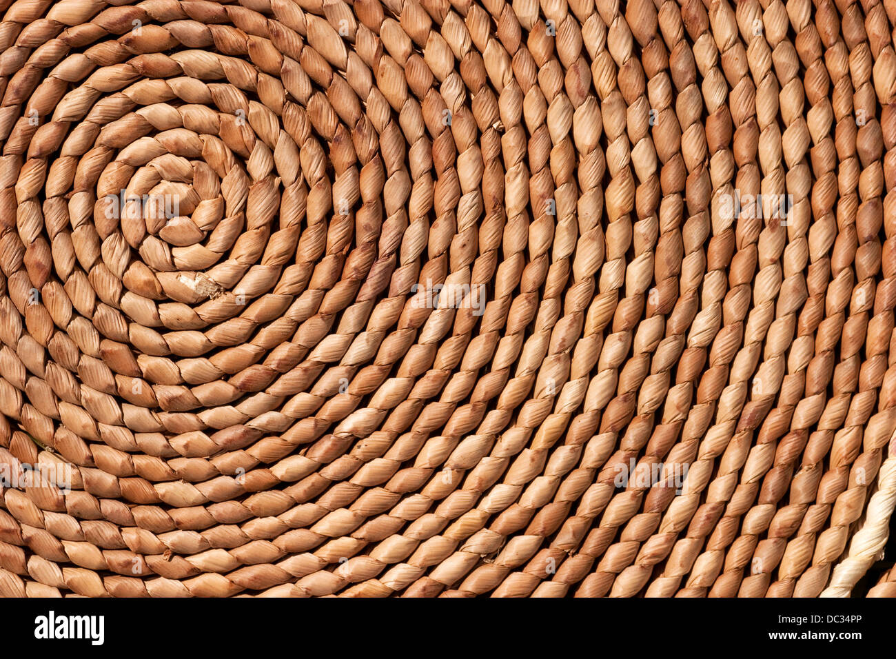 Pandanus leaves hi-res stock photography and images - Alamy