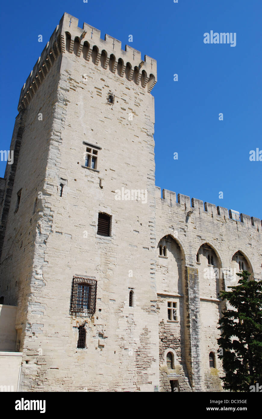 Pope papal castle palace palais france french gothic hi-res stock ...