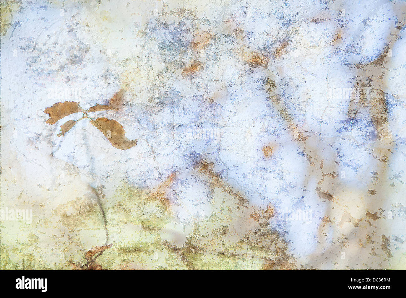 Abstract leaves hi-res stock photography and images - Alamy