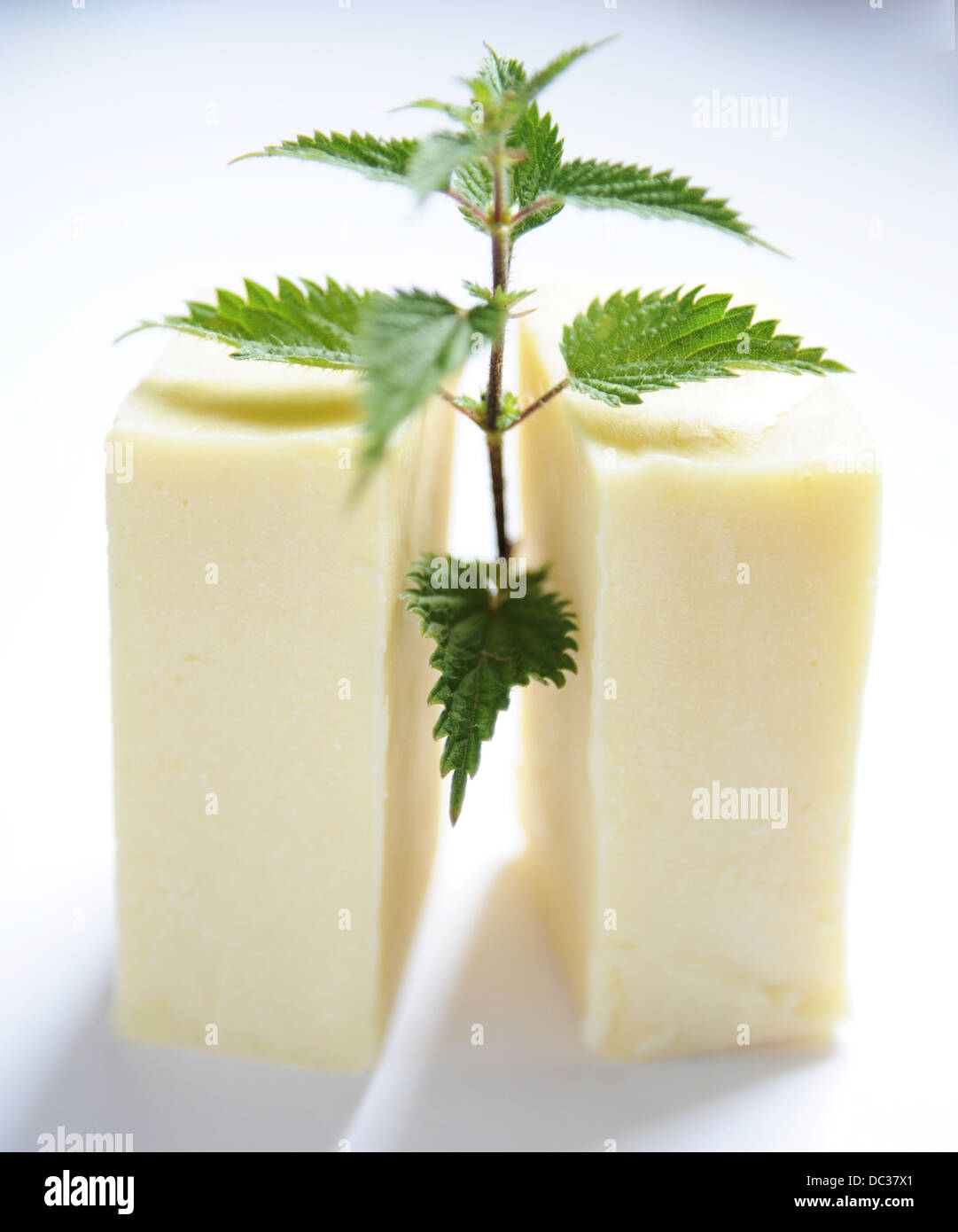 Nettle soap. Natural and handmade Stock Photo - Alamy