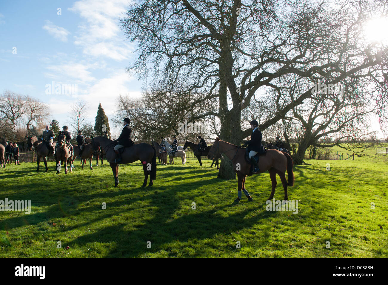Hunt animals countryside england hi-res stock photography and images ...