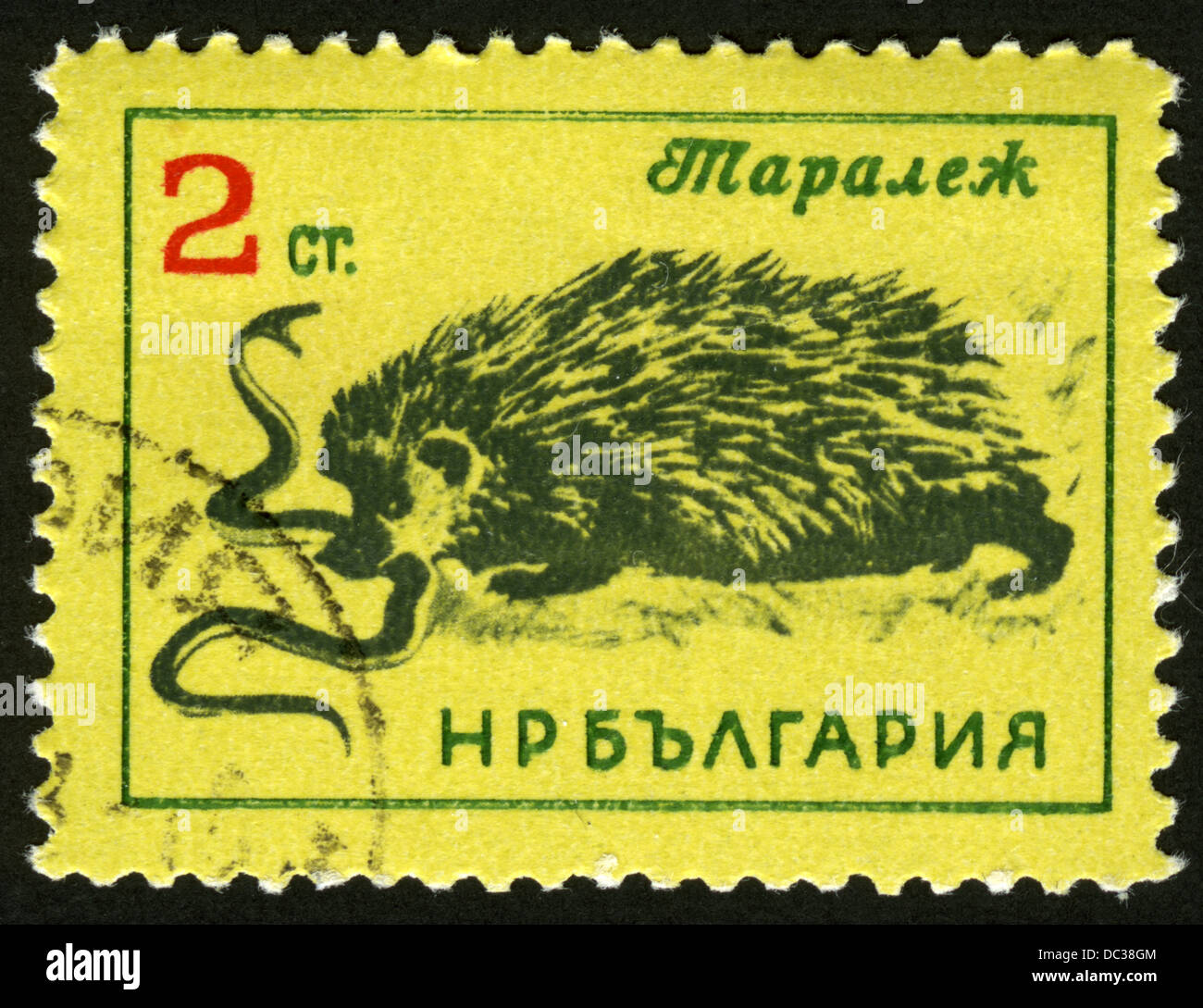 Hedgehog images hi-res stock photography and images - Alamy