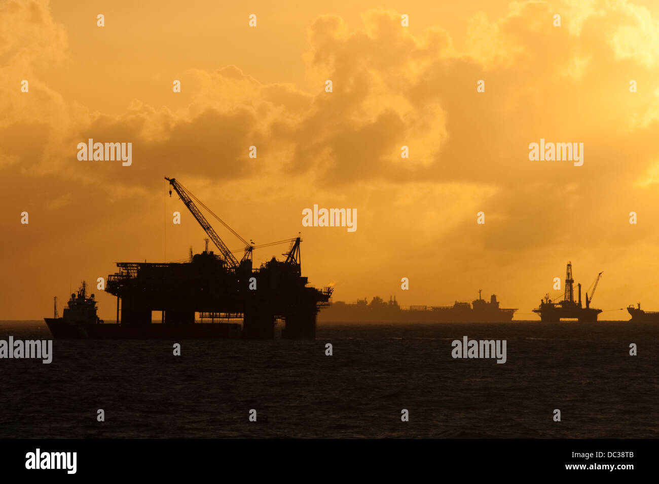 Offshore oil field with lots of rigs at sunset/sunrise time, coast of ...
