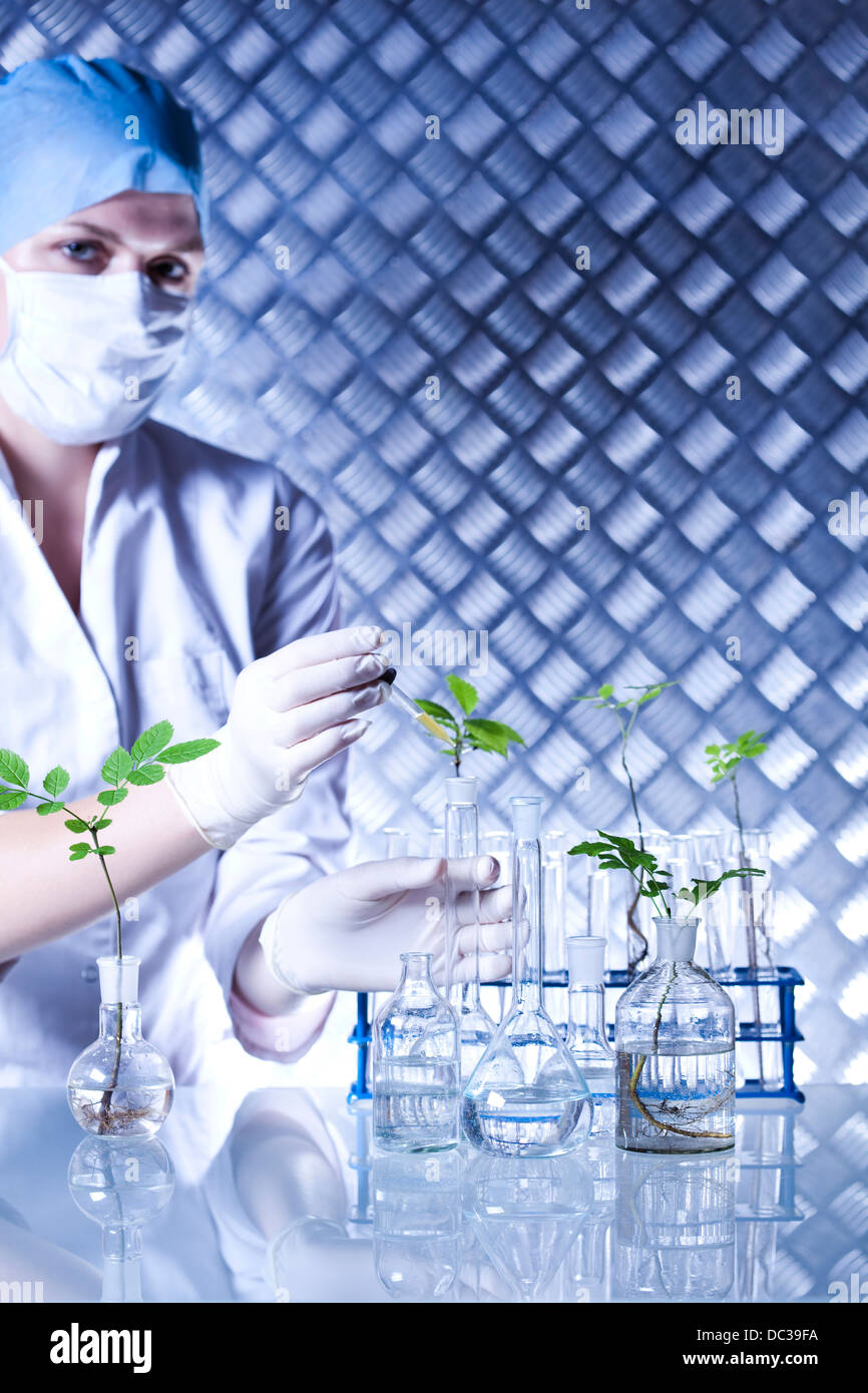 Ecology laboratory experiment in plants Stock Photo - Alamy
