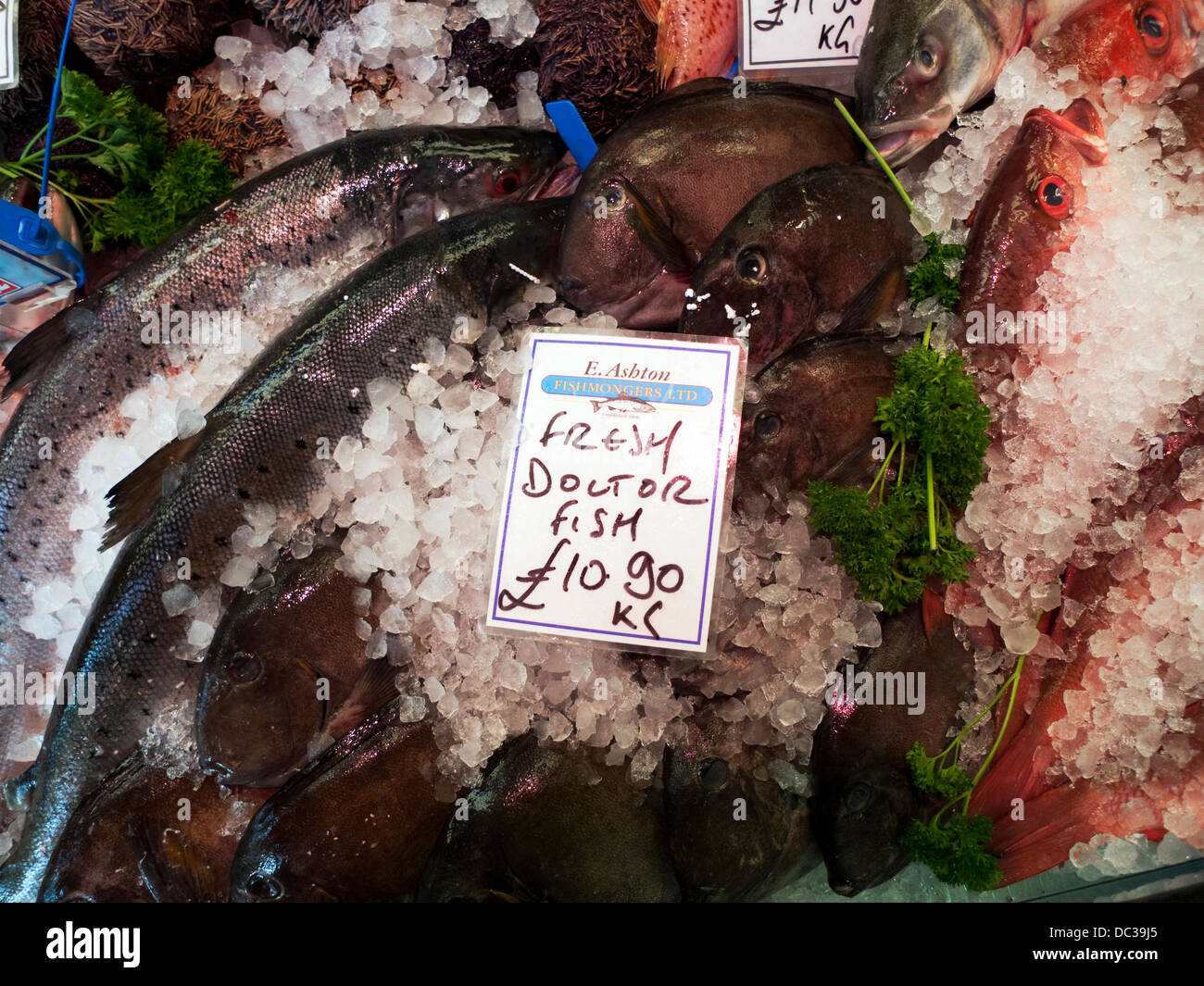 Welsh doctor hi-res stock photography and images - Alamy