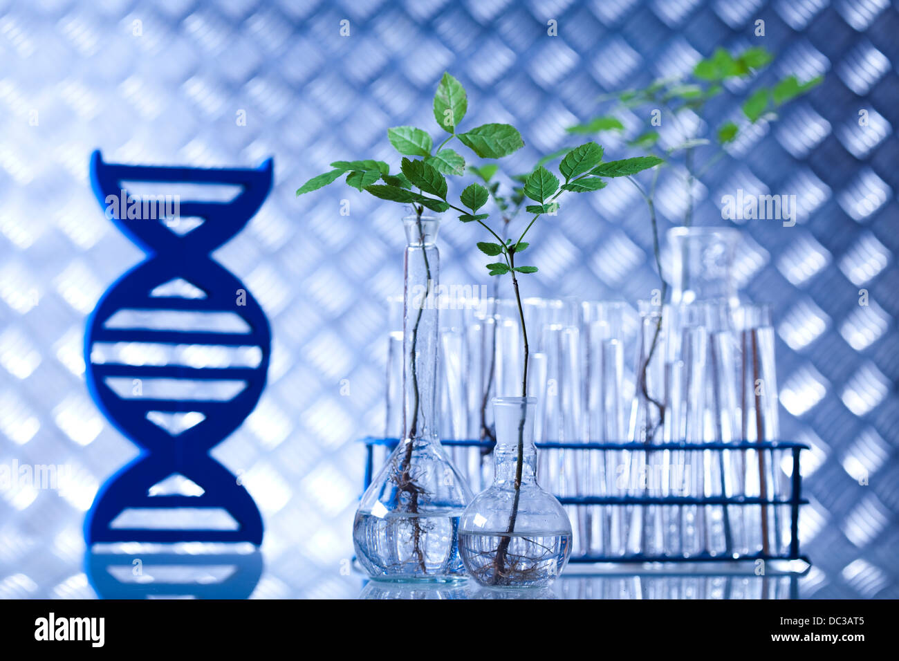 Plants in test tubes in laboratory Stock Photo - Alamy