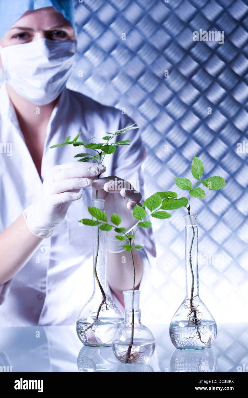 Experimenting with flora in laboratory Stock Photo - Alamy