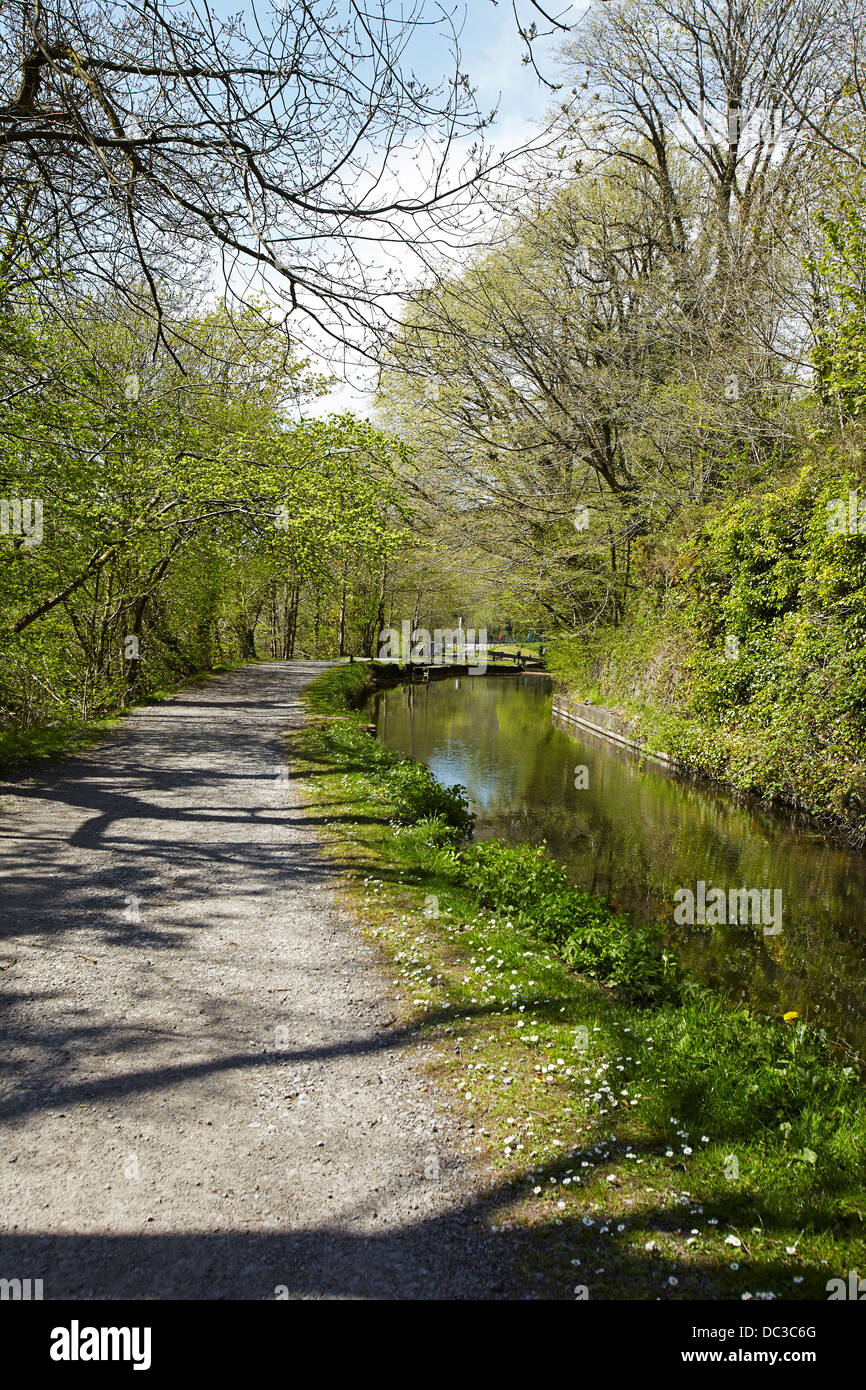 Neath canal basin hi-res stock photography and images - Alamy