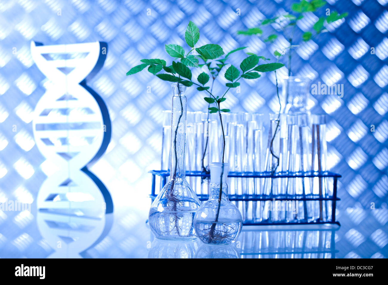 Floral science in laboratory Stock Photo - Alamy
