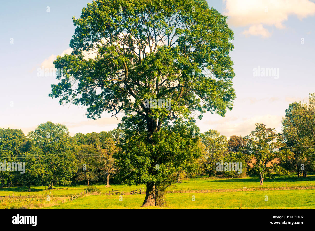 An image of landscape on late summer Stock Photo - Alamy