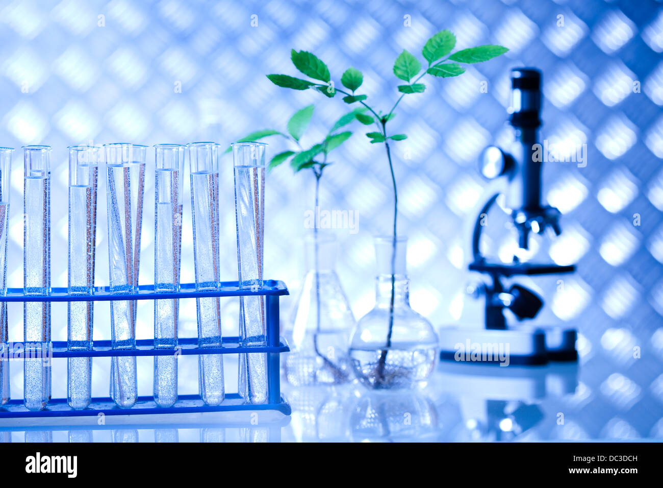 Plants in test tubes in laboratory Stock Photo - Alamy