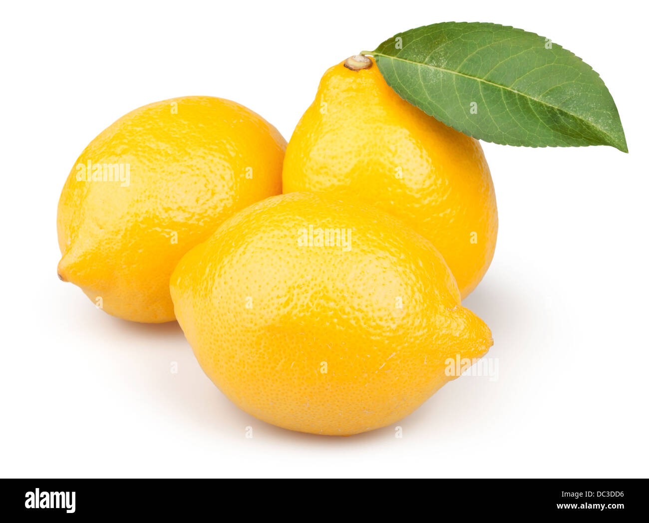 Group of leaf hi-res stock photography and images - Alamy