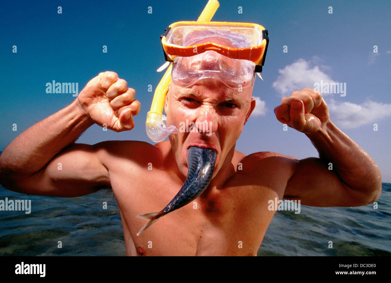 Frantic gesture hi-res stock photography and images - Alamy