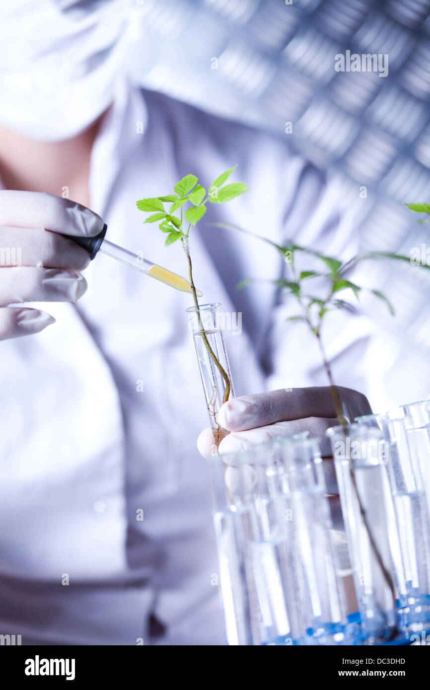 Floral science hi-res stock photography and images - Alamy