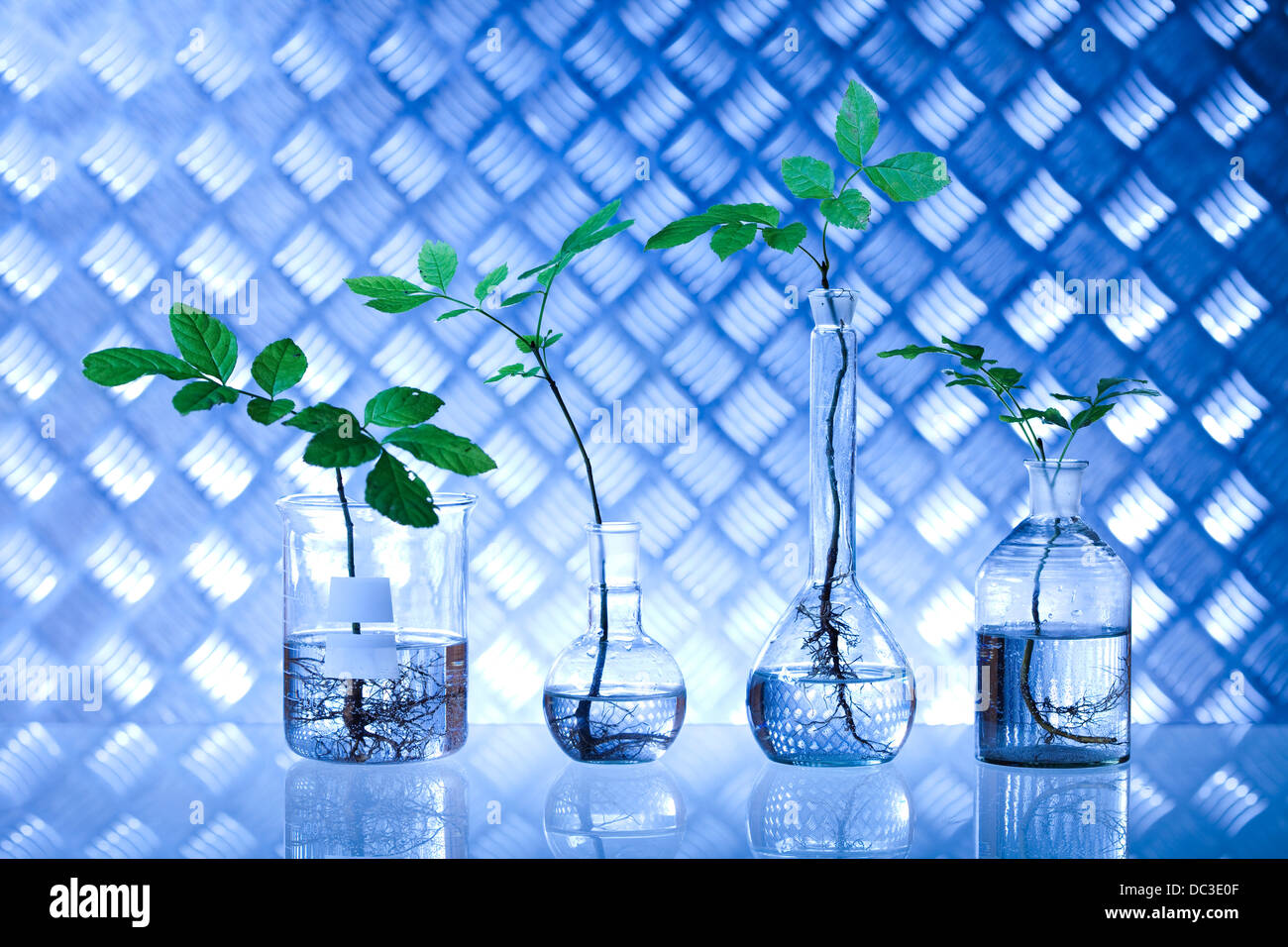 Chemical laboratory glassware equipment, ecology Stock Photo - Alamy