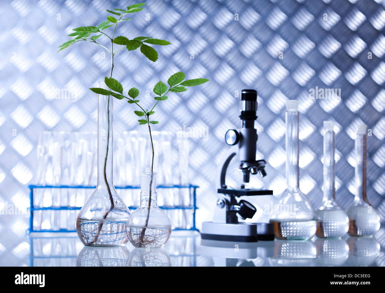 Plants in test tubes in laboratory Stock Photo - Alamy