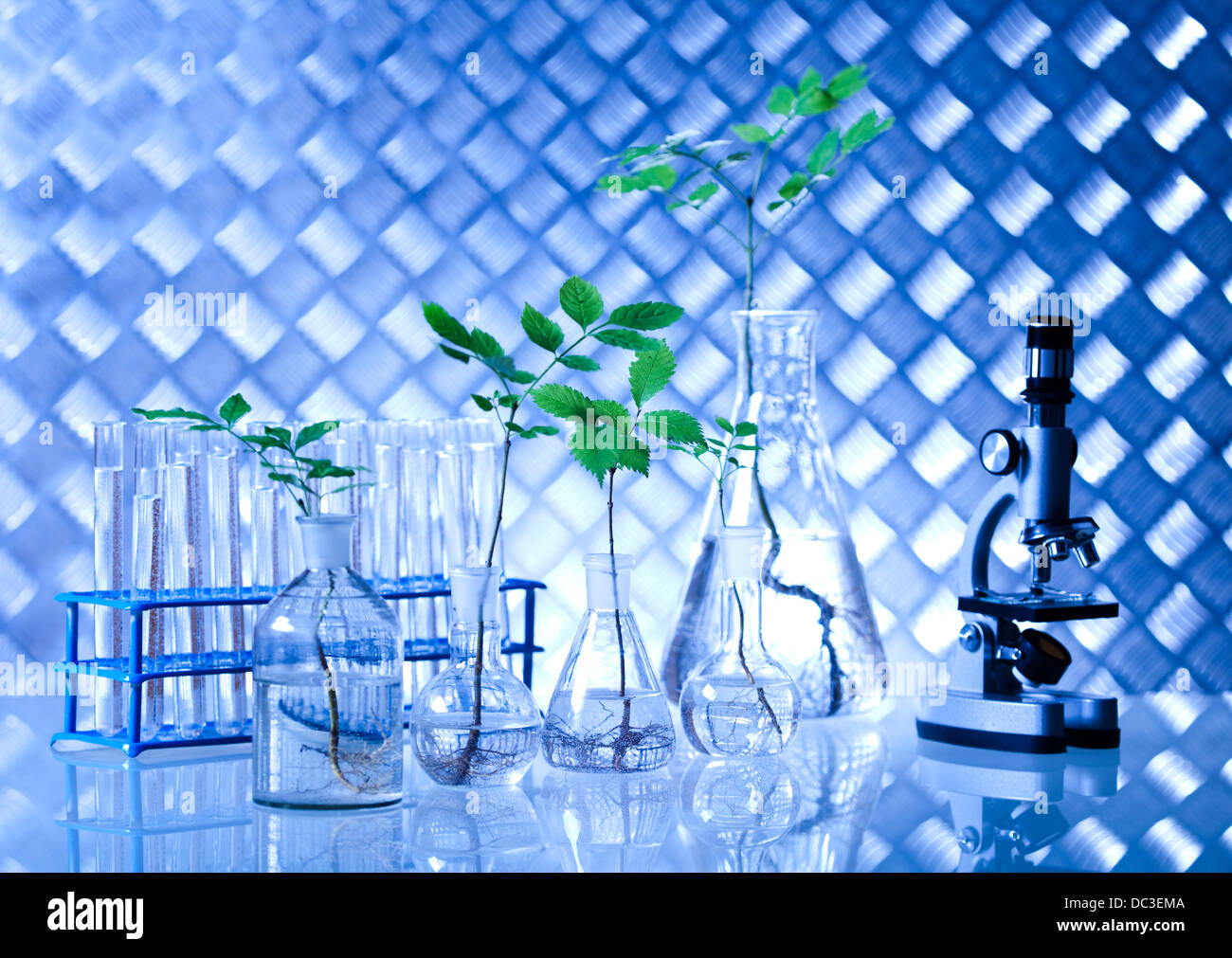Plants in test tubes in laboratory Stock Photo - Alamy
