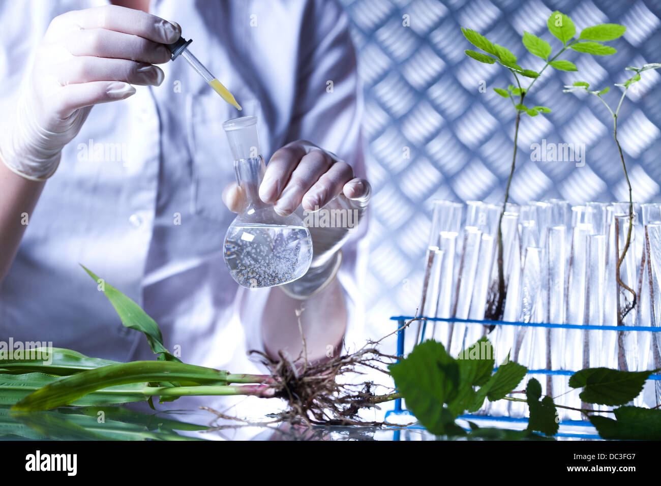 Experimenting with flora in laboratory Stock Photo - Alamy