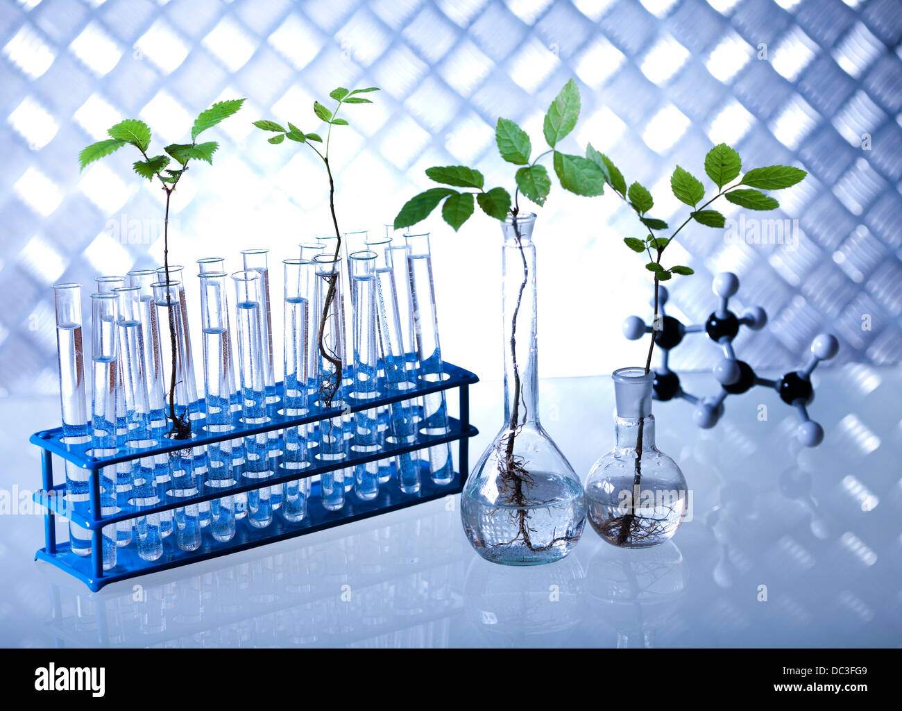 Plants in test tubes in laboratory Stock Photo - Alamy