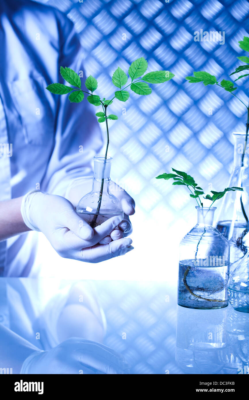 Ecology laboratory experiment in plants Stock Photo - Alamy