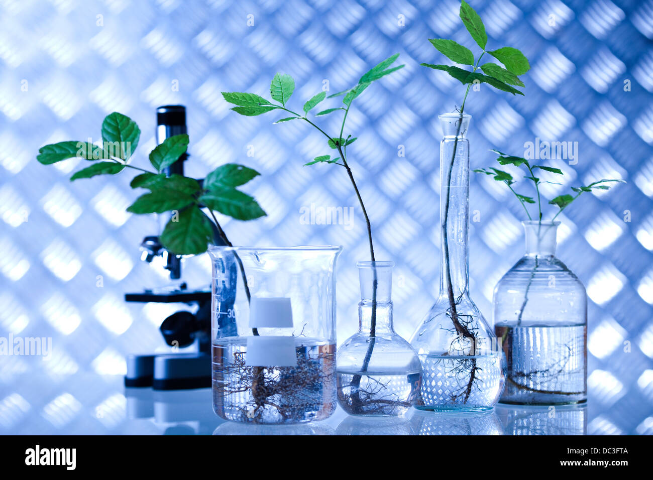 Chemical laboratory glassware equipment, ecology Stock Photo - Alamy