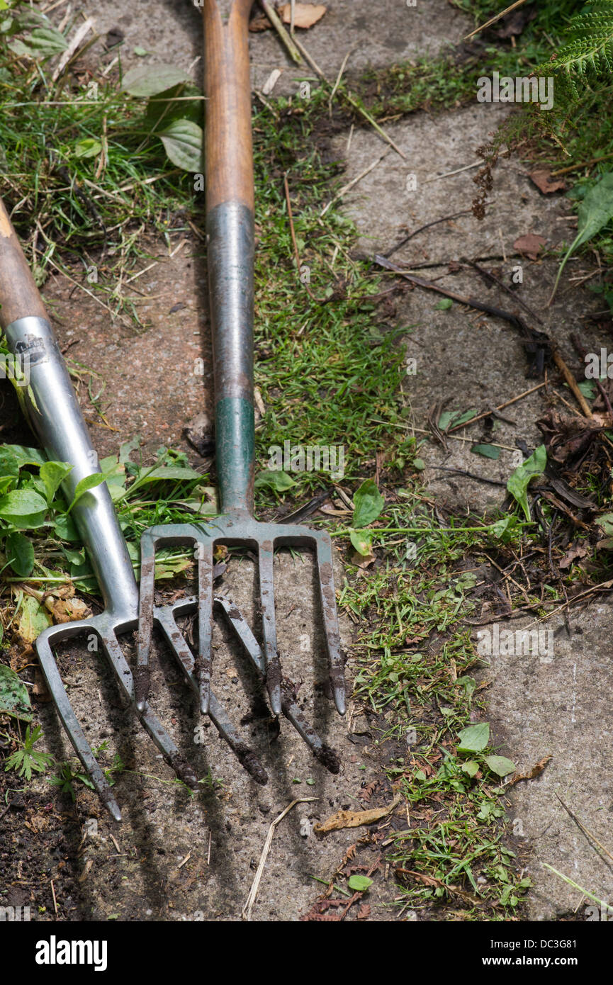 Fork prong fork prongs hi-res stock photography and images - Alamy