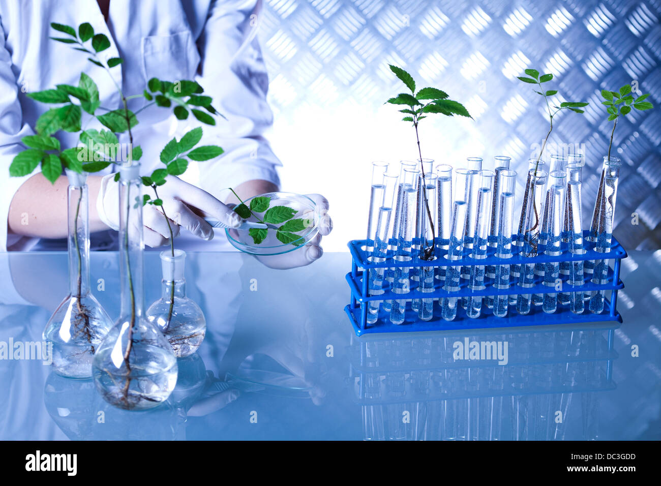 Experimenting with flora in laboratory Stock Photo - Alamy