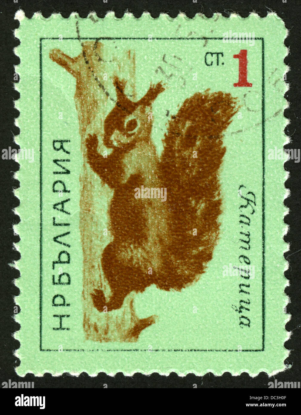 Mammals of bulgaria hi-res stock photography and images - Alamy