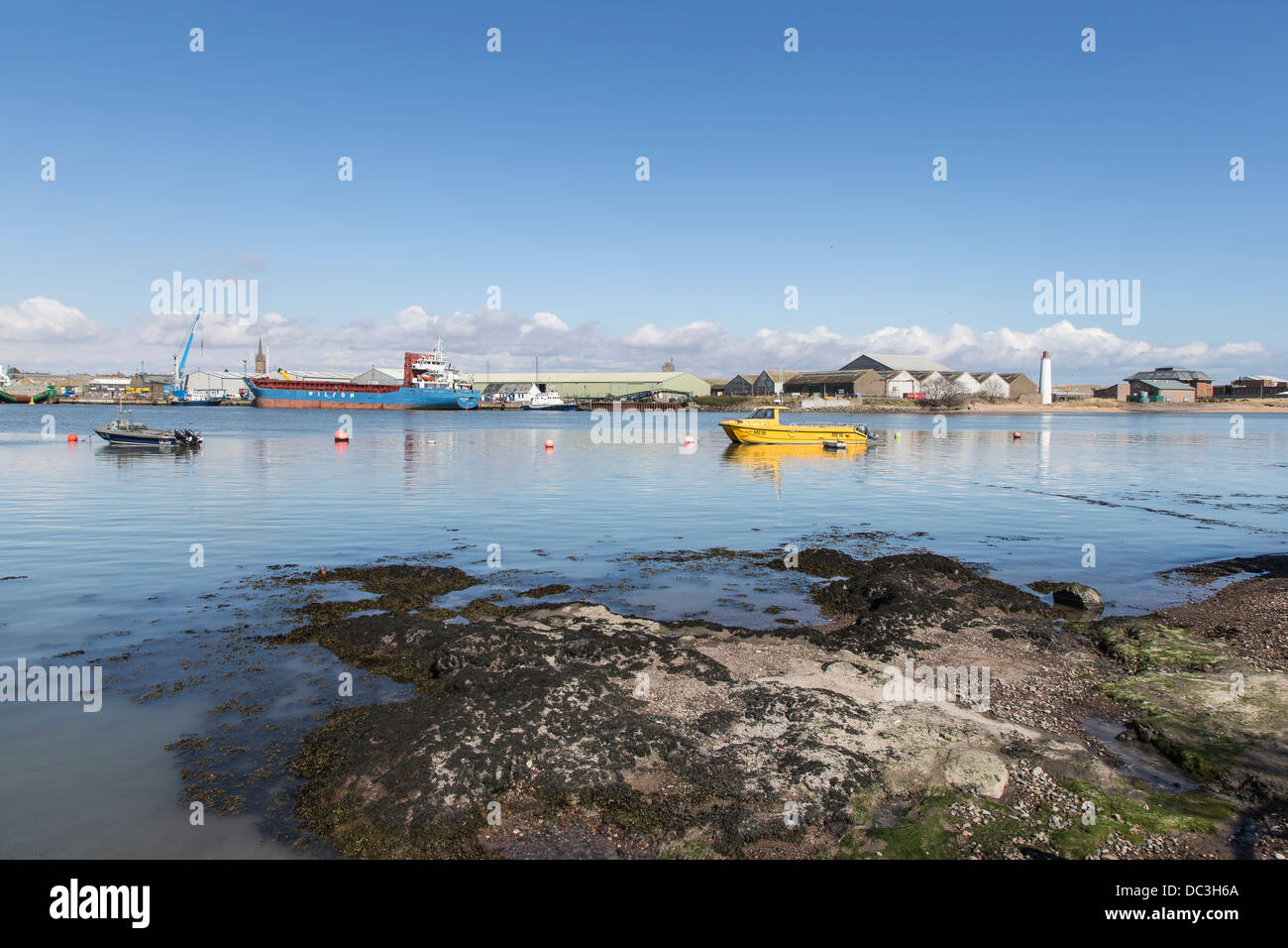 Scotland montrose basin hi-res stock photography and images - Alamy