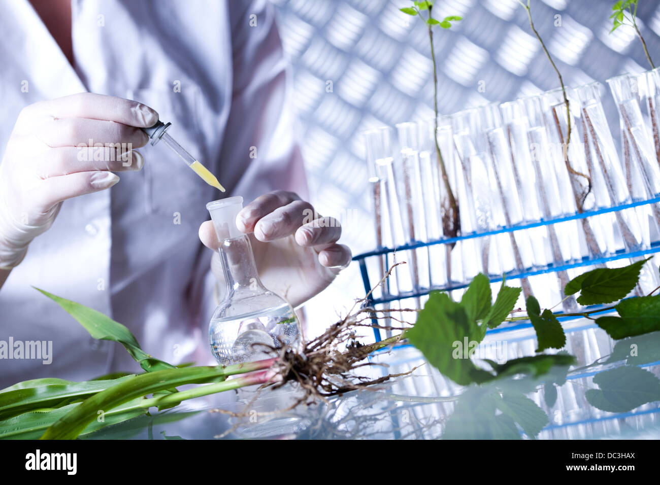 Floral science in laboratory Stock Photo - Alamy
