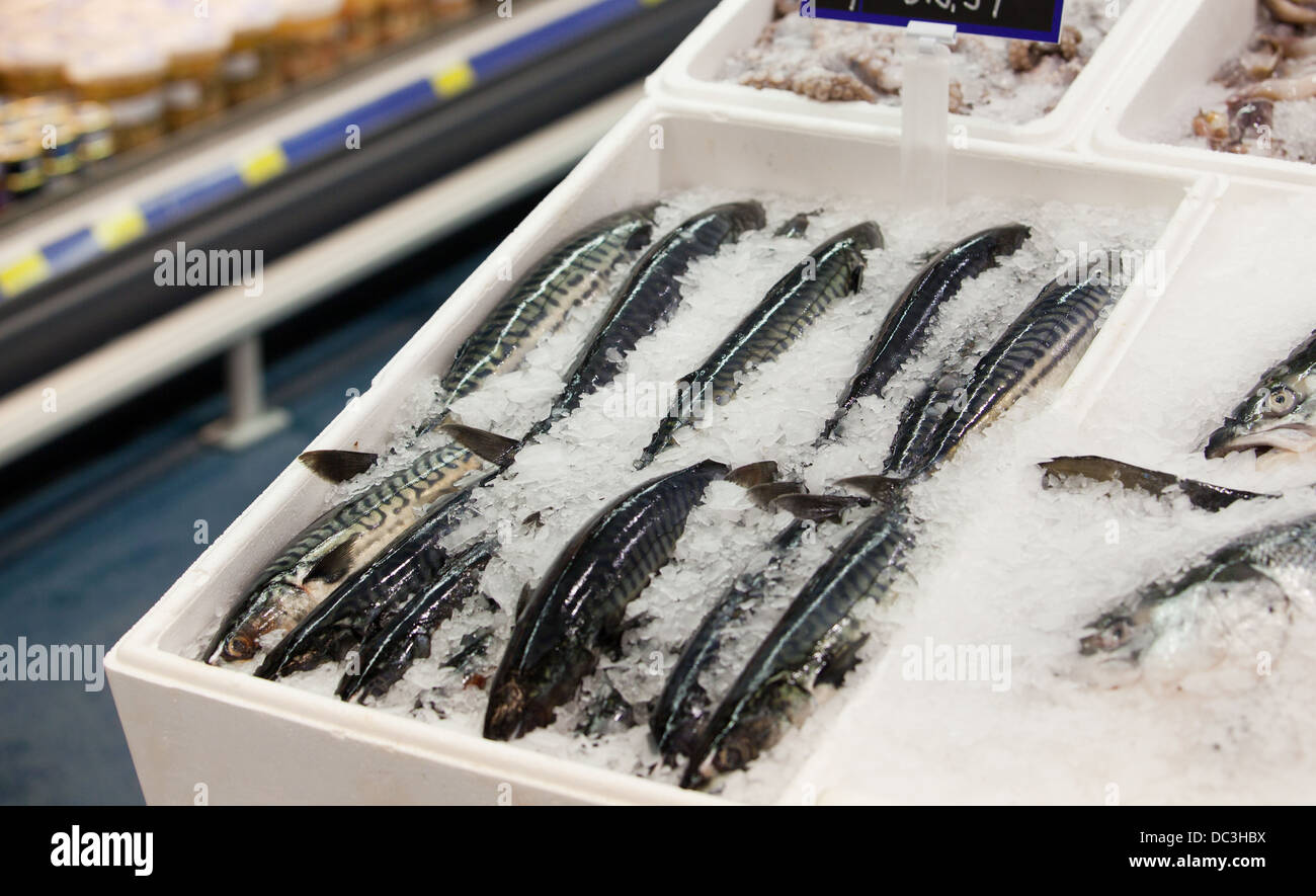 frozen fish at the supermarket Stock Photo - Alamy
