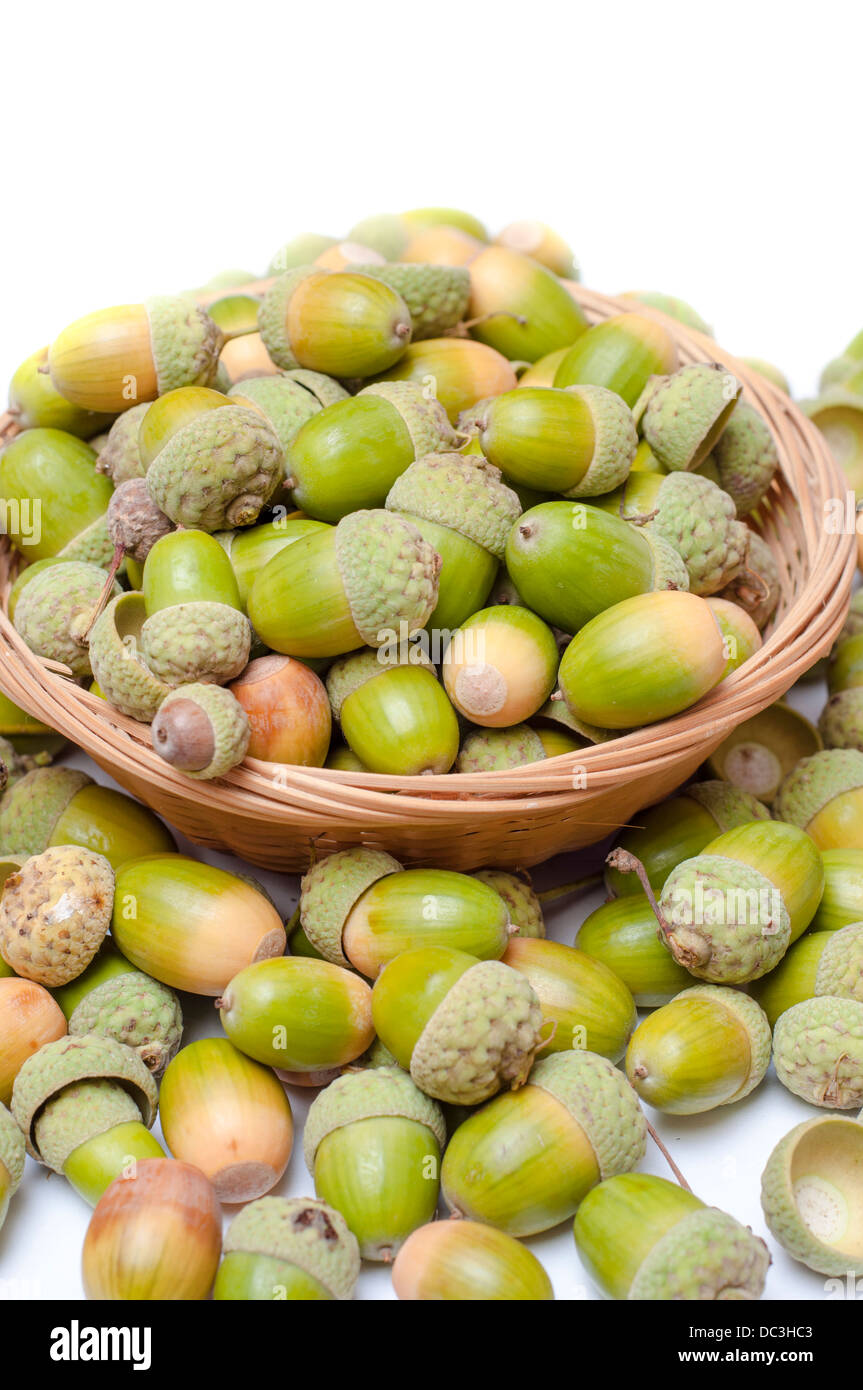 An image of haycorns Stock Photo - Alamy