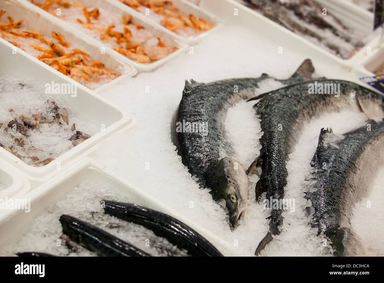 frozen fish at the supermarket Stock Photo - Alamy