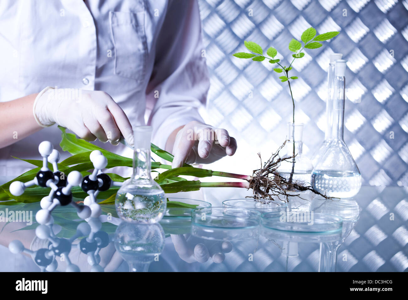 Experimenting with flora in laboratory Stock Photo - Alamy