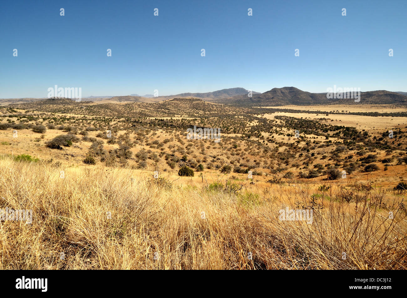The Texan Prairie in Jeff Davis County, Texas, USA Stock Photo - Alamy