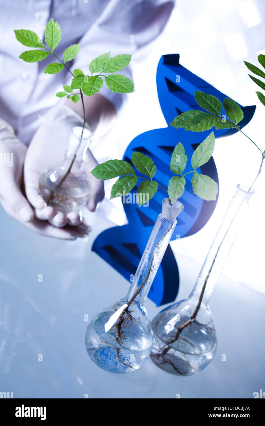 Ecology laboratory experiment in plants Stock Photo - Alamy