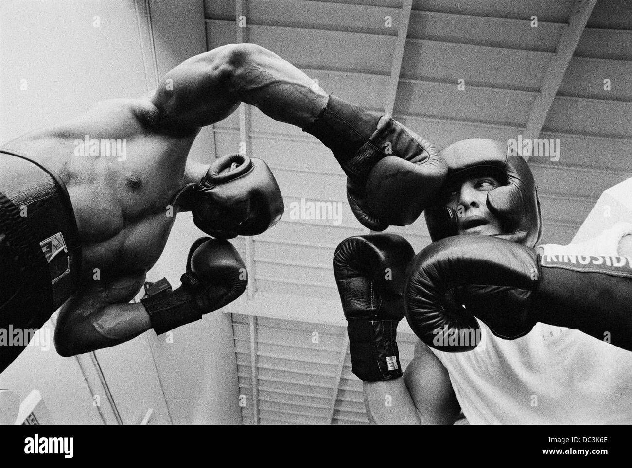 Looking up at two boxers sparring in gym Stock Photo - Alamy