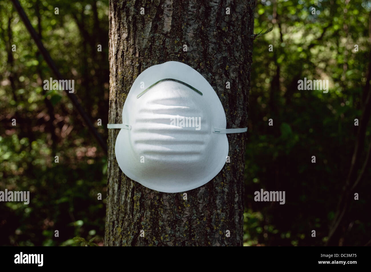 Tree with breathing mask hi-res stock photography and images - Alamy