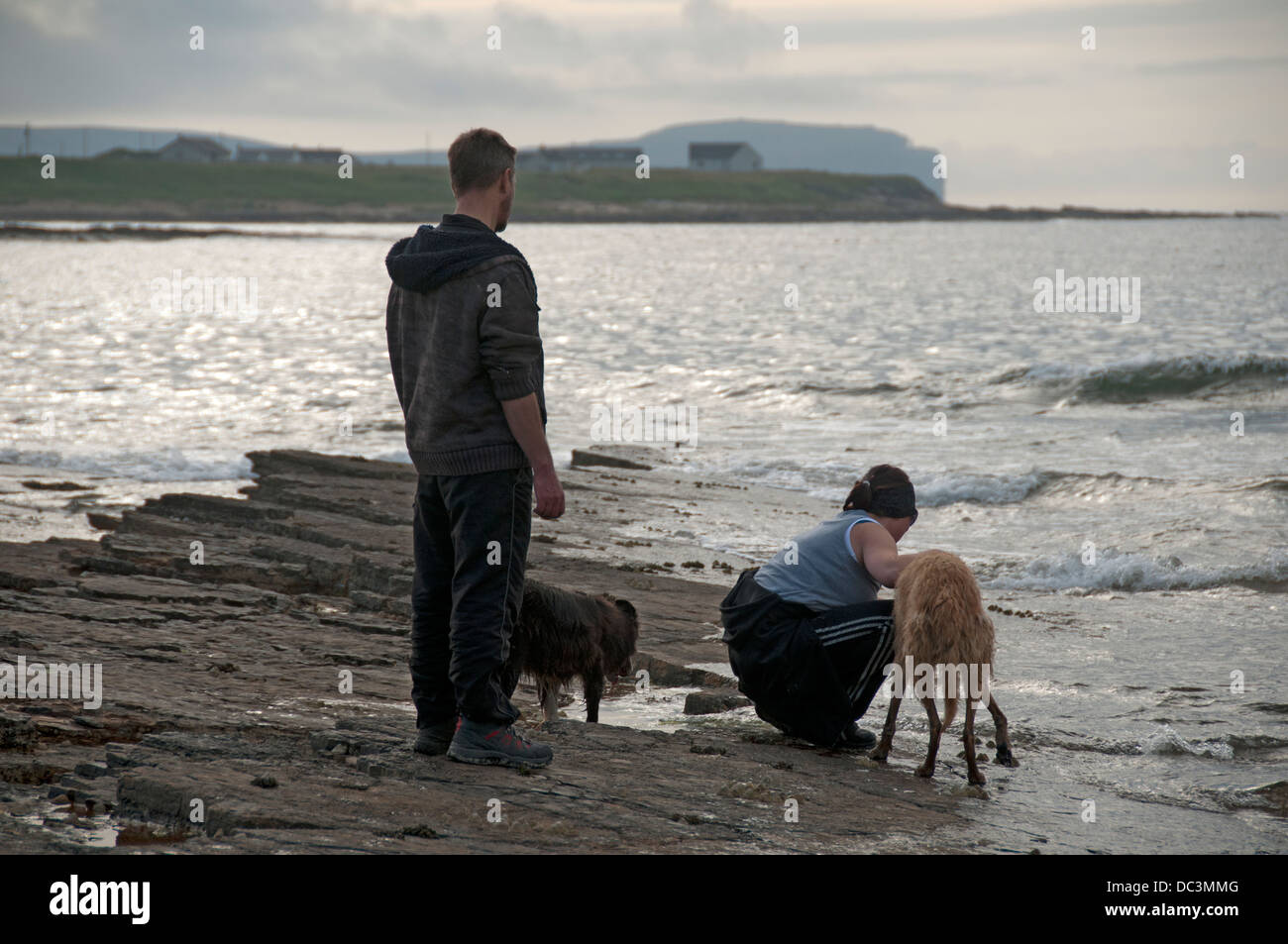 Young couple and two dogs with Dunnet Head in the background. Near the ...