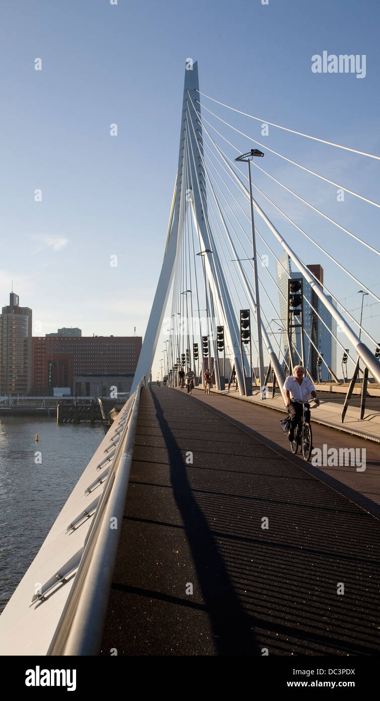 Erasmus bridge Erasmusbrug Rotterdam Netherlands Stock Photo - Alamy
